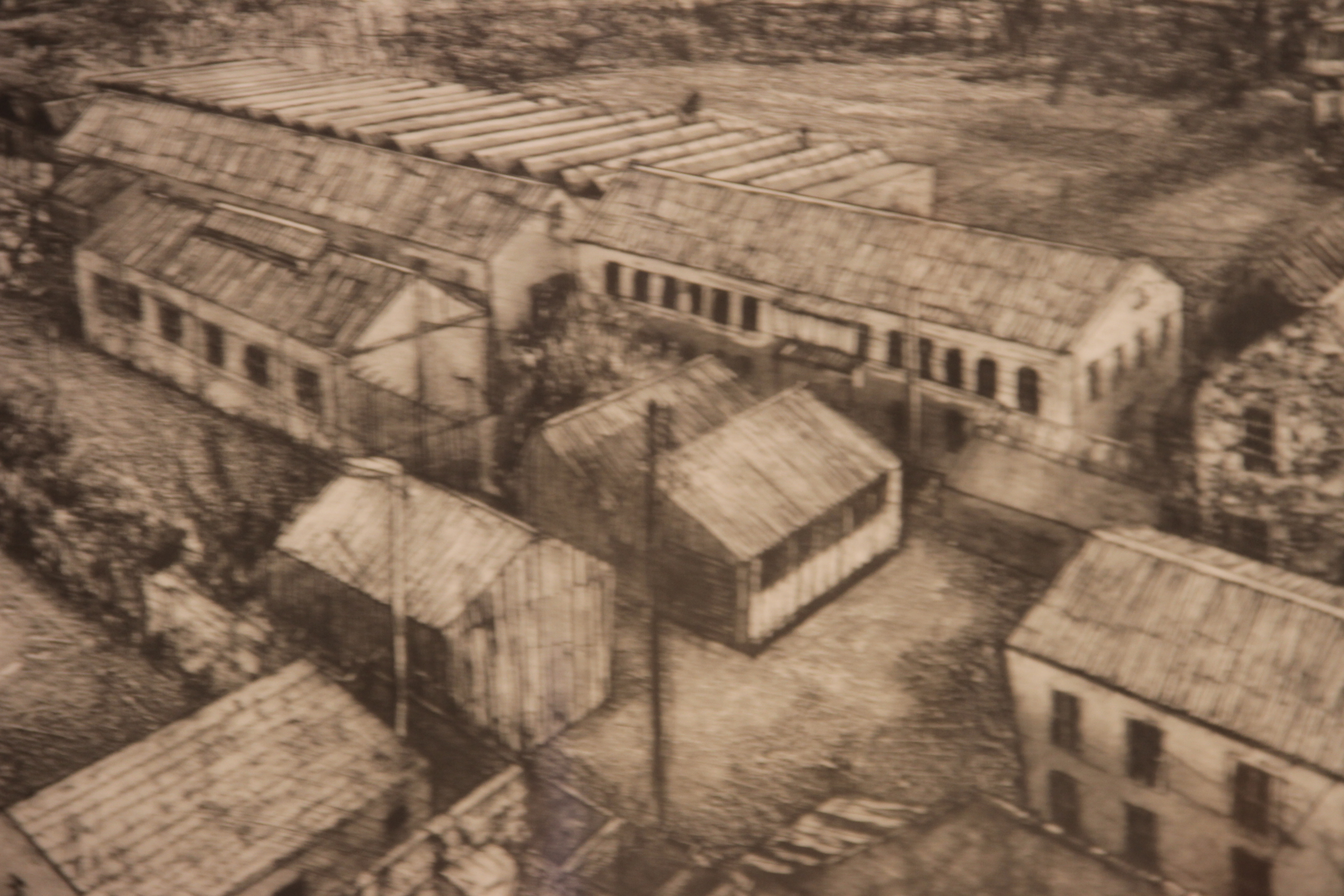 Blue II Preview | Rook Lane